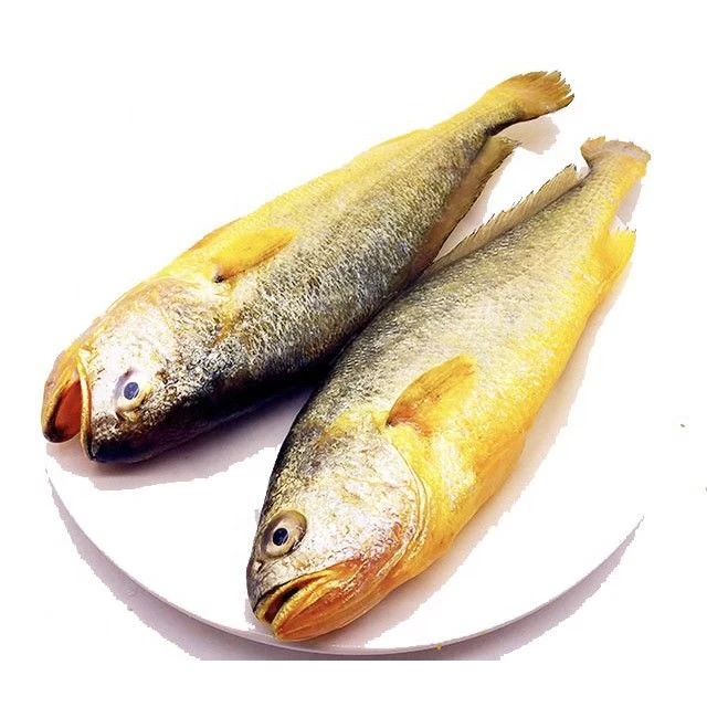 Buy Wholesale Price Fresh Frozen Yellow Croaker Fish from Emmanuel ...
