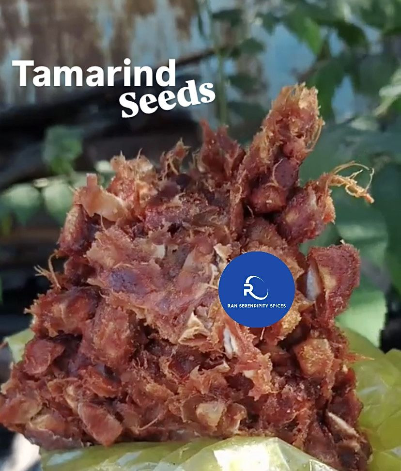 Buy Tamarind Seeds Meat from RAN SERENDIPITY SPICES, Indonesia ...