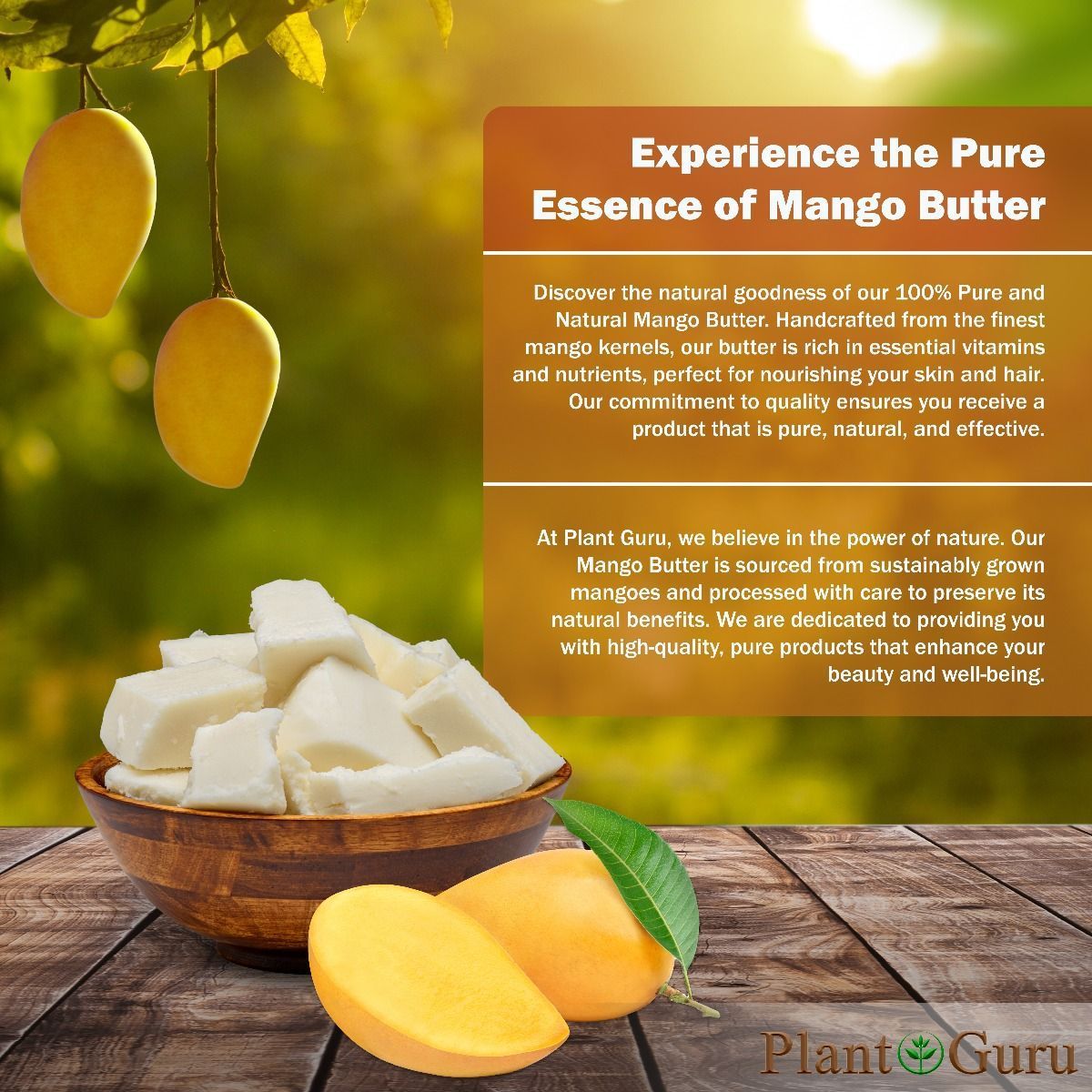 Buy Premium Mango Butter For Deep Moisture & Skin Rejuvenation from ...