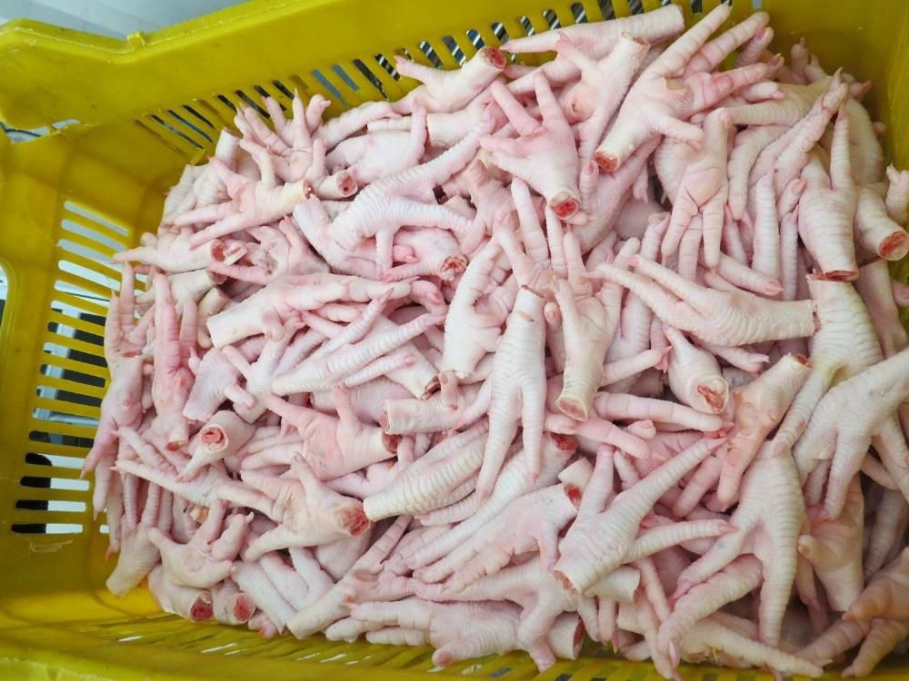 Buy Frozen Chicken Paw/chicken Feet/whole Chicken from Frango Brazil ...