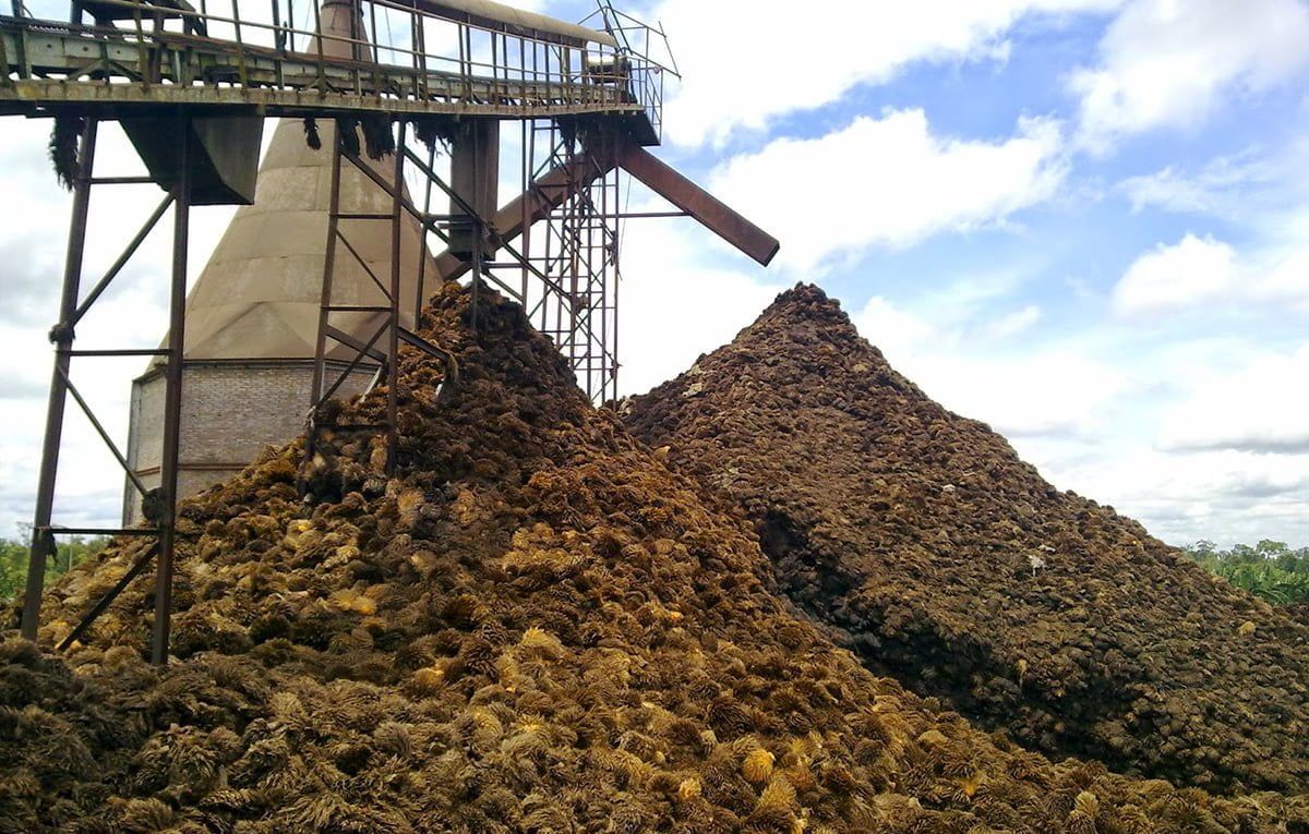 Buy Palm Kernel Shell from PT SAWIT INTI GLOBAL, Indonesia | Tradewheel.com