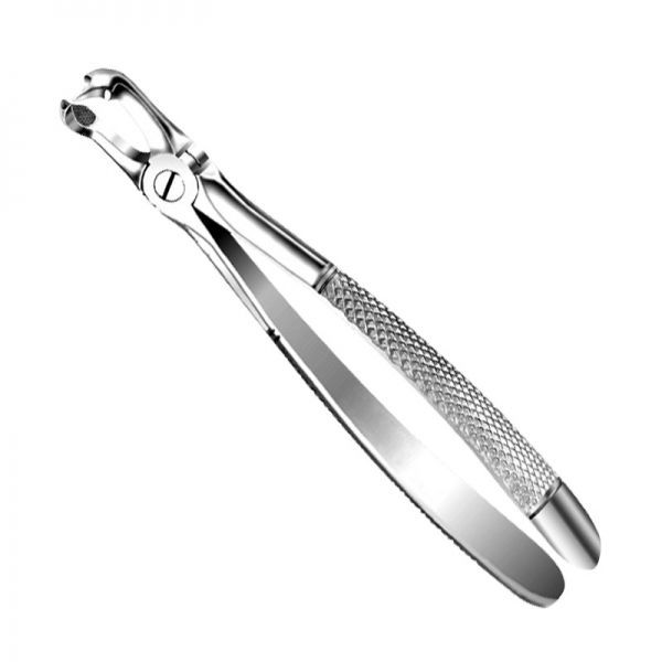 Buy Dental Extracting Forceps Lower Premolar English Forceps Fig 13 ...