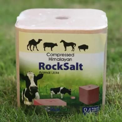 Buy Animal Lick Himalayan Pink Salt from The Mineral Mart, Pakistan ...