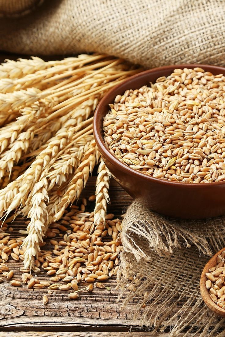 Buy Wheat from Demta Group, Republic of Türkiye | Tradewheel.com
