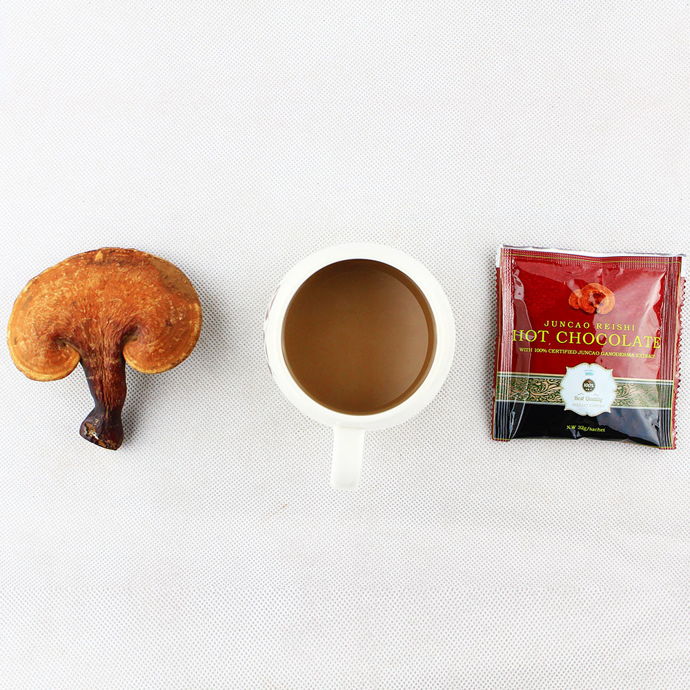 Buy 2021 Best Selling Hot Chocolate Coffee Ganoderma Lingzhi Coffee 3 ...