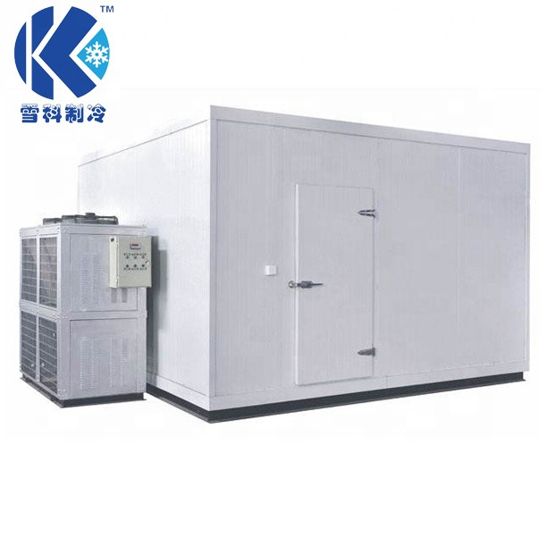 Buy 20ft Container Chilling Cold Room For Meat And Chicken from ...