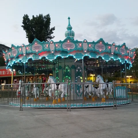 Buy Electric Automatic Adult Carousel Outdoor Amusement Park Rides ...