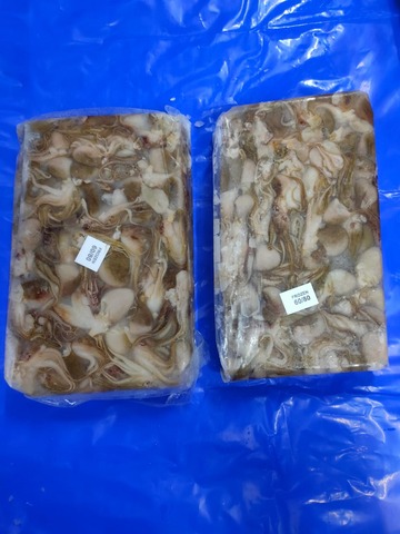 Buy Frozen Whole Cleaned Baby Octopus from ESEAFOOD EXPORTS, India ...