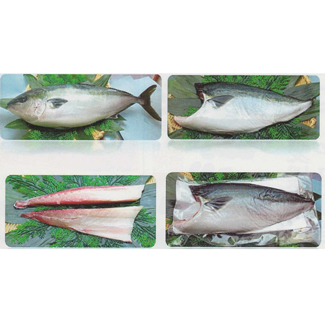 Buy Private Label Sashimi Grade Yellowtail Farm Seafoods And Frozen ...