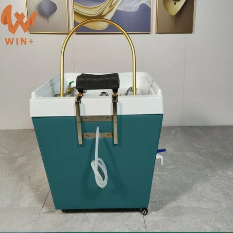 Buy Professional No Plumbing Portable Head Spa Ceramic Waterfall Head ...