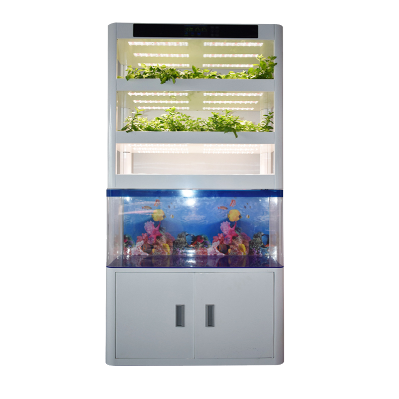 Buy Skyplant Vertical Farming Hydroponic Indoor Garden Smart Home Grow ...