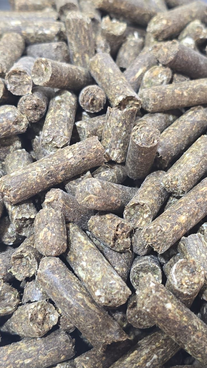 Buy Beef Feed from Yembroos Animal Feeds India Private Limited, India ...