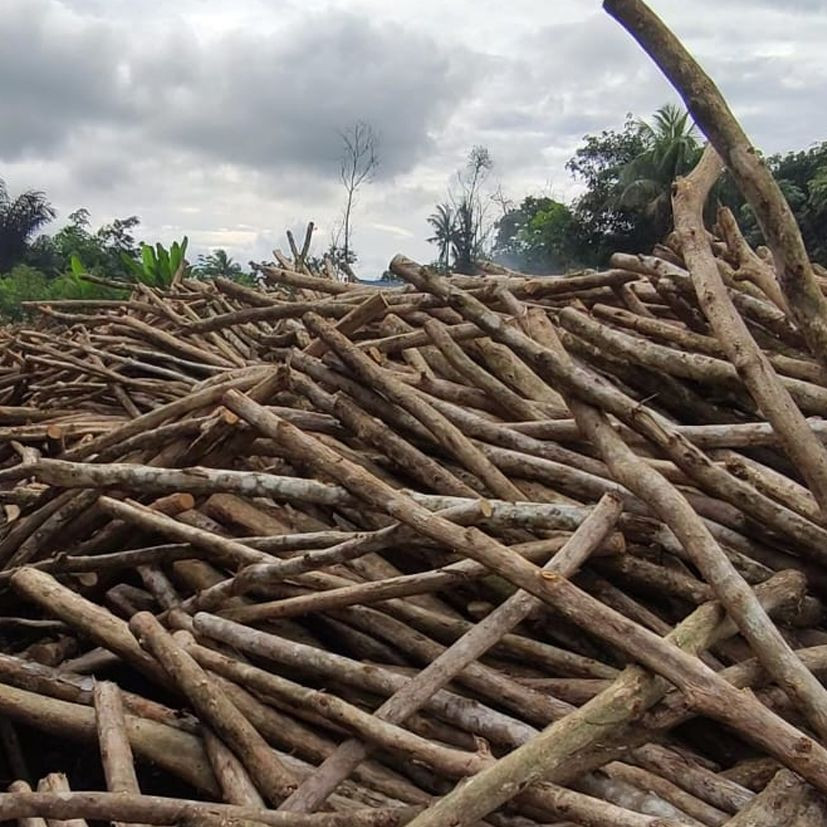 Buy Halaban Charcoal from PT BANUA EXPORT MANDIRI, Indonesia ...