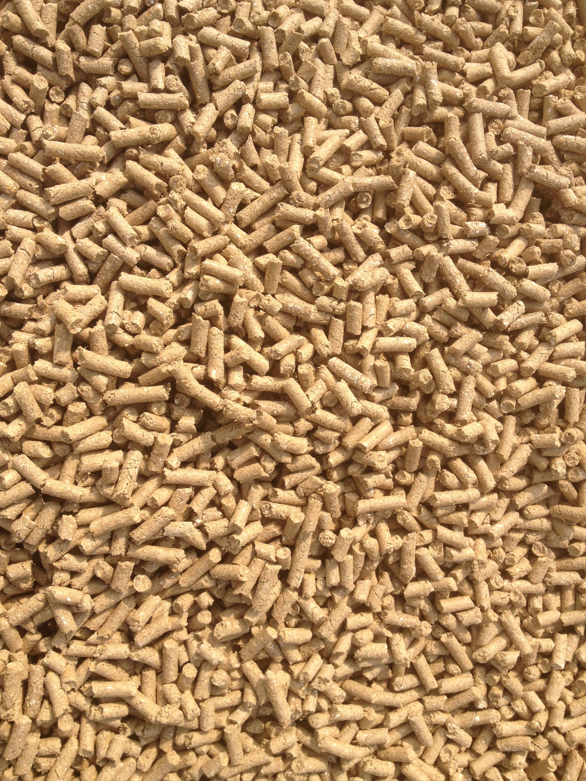 Buy Beef Feed from Yembroos Animal Feeds India Private Limited, India ...