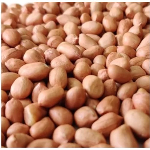 Buy Indian Origin Groundnut Kernels Java 50/60 from PIYALI AGRO, India ...