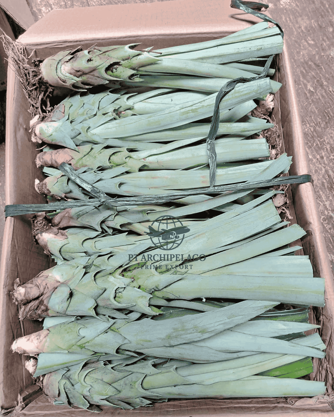 Buy Pineapple Leaves, Natural Pineapple Leaf, Pineapple Leaf For ...
