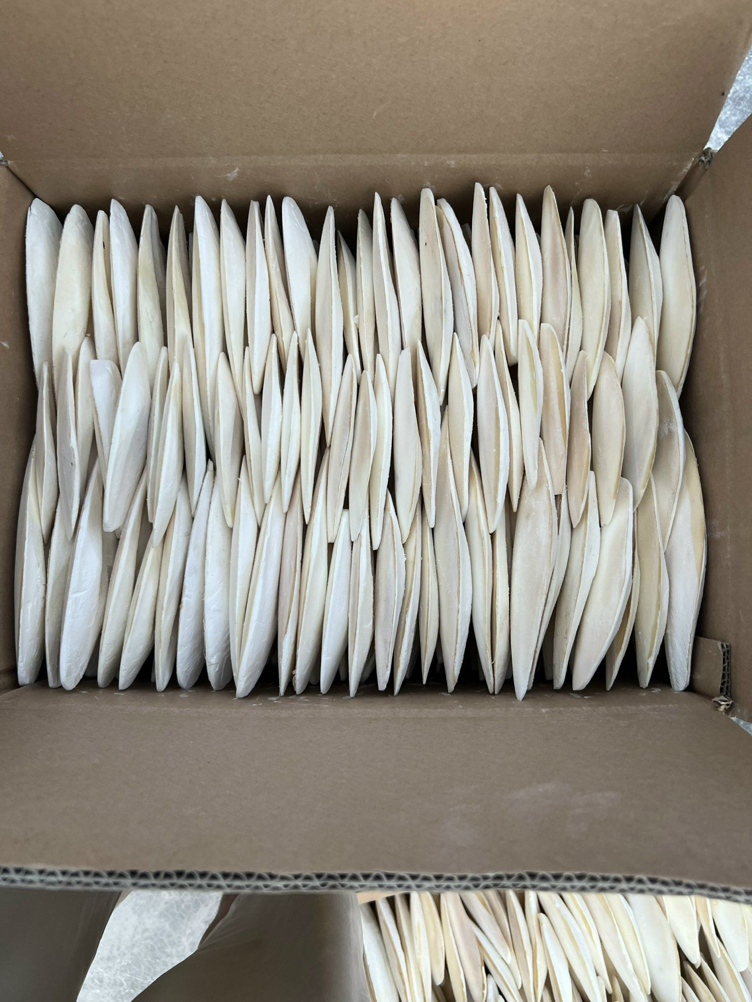 Buy Dried Cuttlefish Bone from Blue Lotus Exim Co.,LTD, Vietnam ...