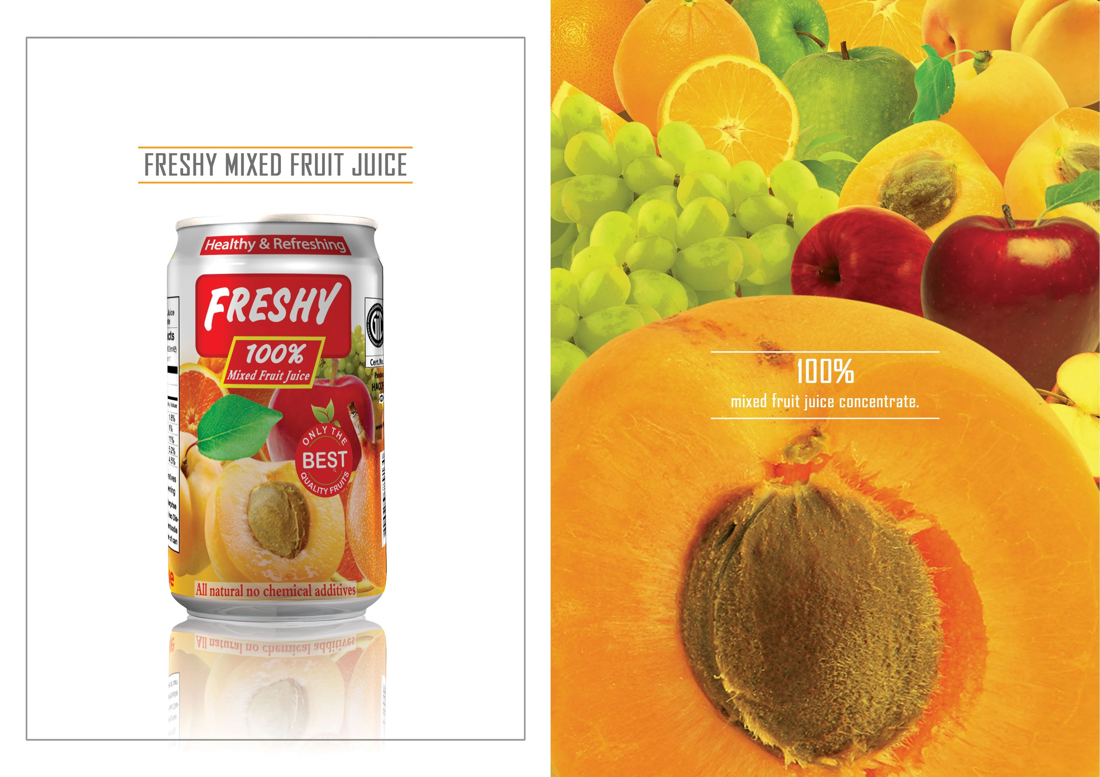 Buy Freshy Mixed Fruit Juice from Medai GB enterprice, Cambodia ...