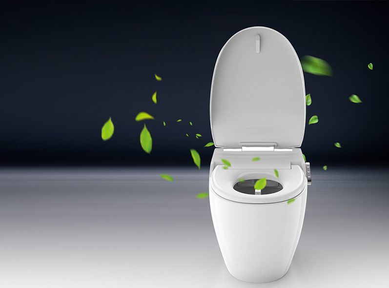 Buy One-piece Powerful Flushing Tankless Intelligent Toilet Upgrade ...