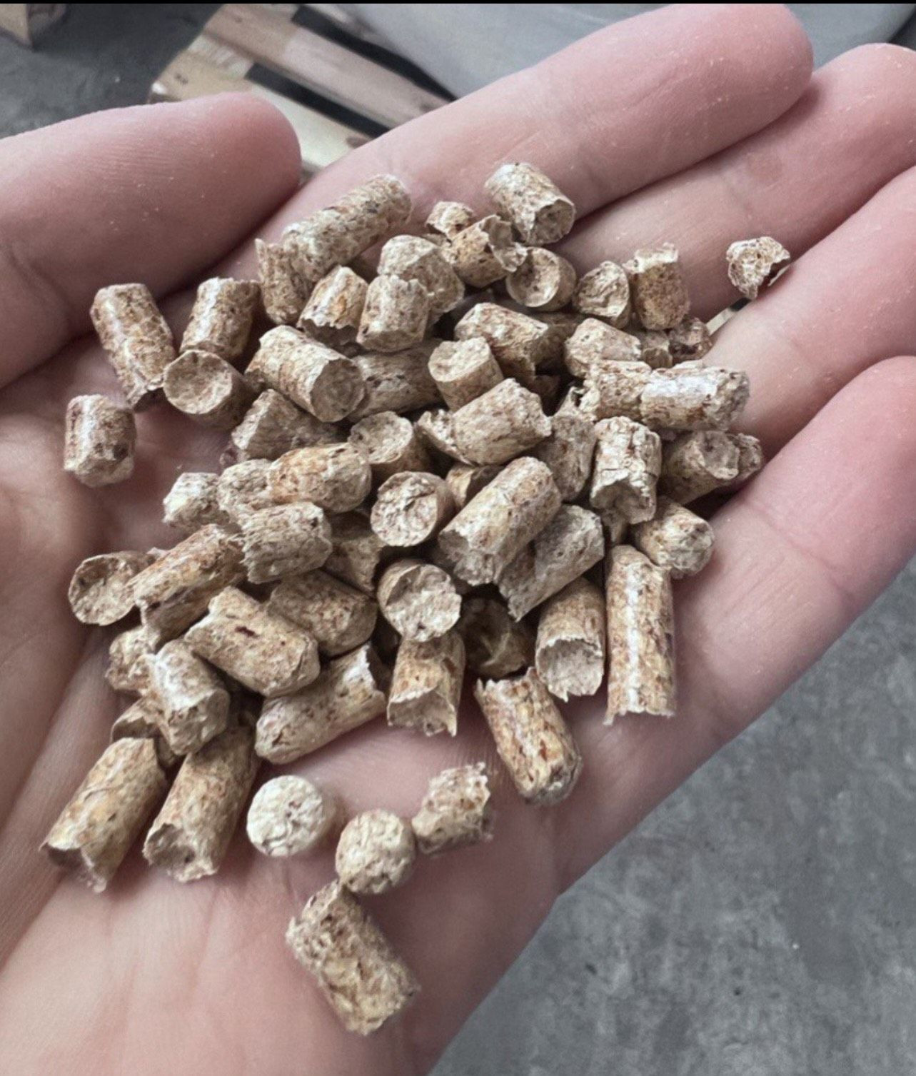 Buy Pine Wood Pellets from Ecofuel Pellet, Ukraine | Tradewheel.com