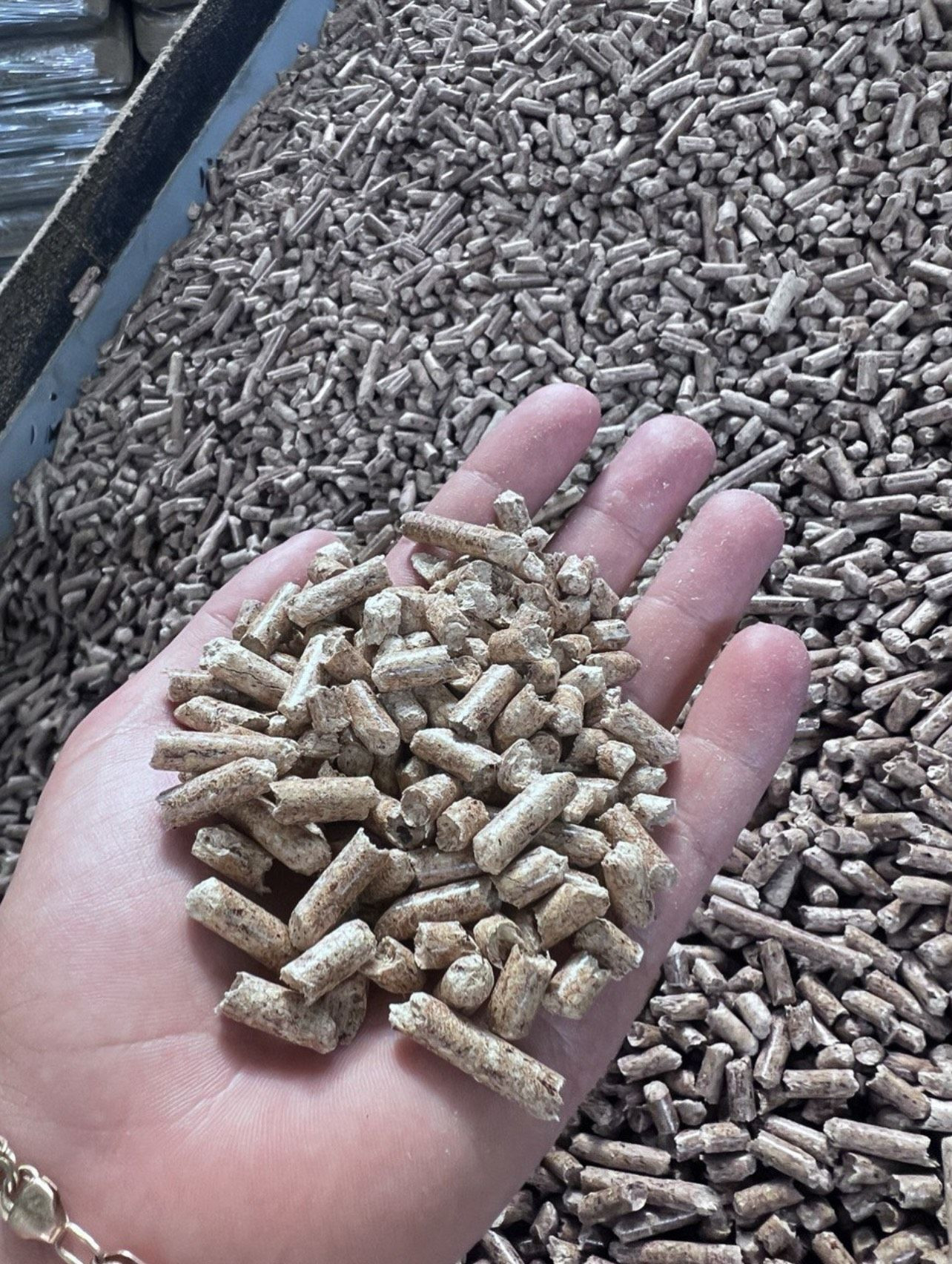 Buy Pine Wood Pellets from Ecofuel Pellet, Ukraine | Tradewheel.com