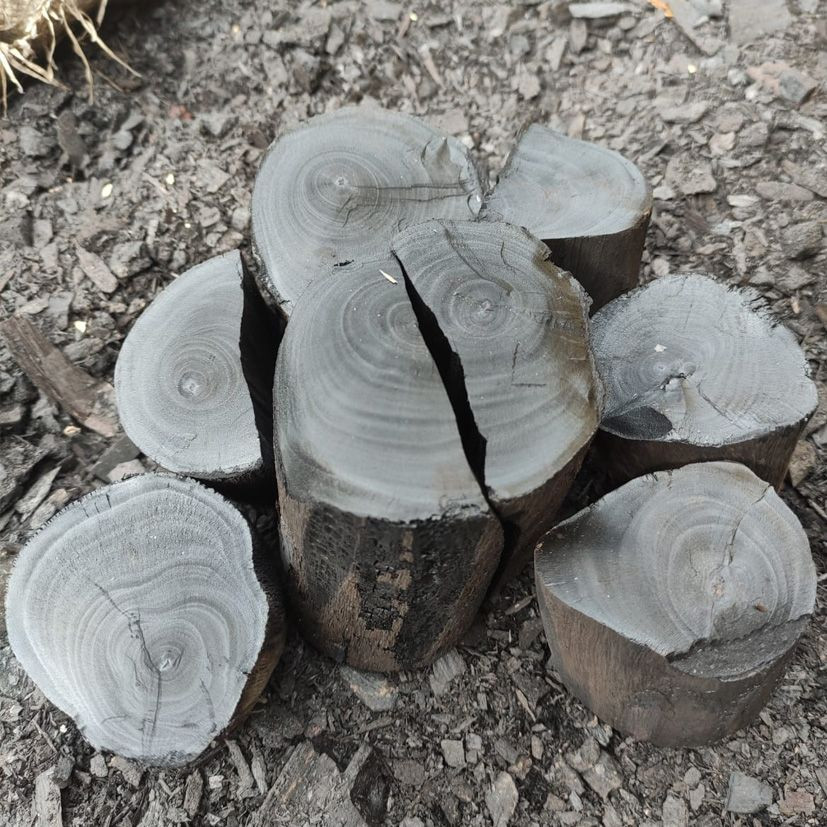 Buy Halaban Charcoal from PT BANUA EXPORT MANDIRI, Indonesia ...