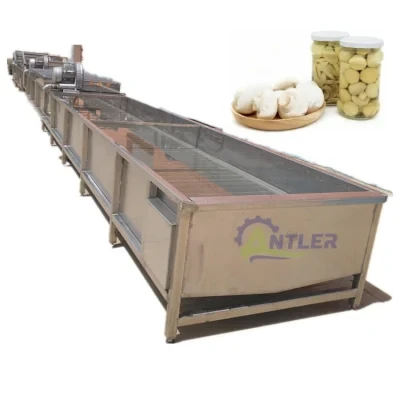 Buy 1000kg/h Canned Mushroom Processing Line Mushroom Canning Machine ...