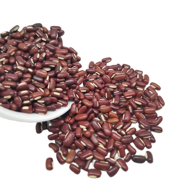Buy Food Grade Red Kidney Beans from TaiAnTang (Bozhou) Chinese Herbal ...