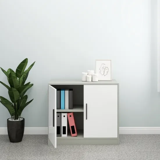 Buy Executive Office Storage Cabinet With Minimalist Design And Custom ...