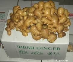 Buy Fresh Ginger High Quality Rich Color And Texture From Myanmar from ...