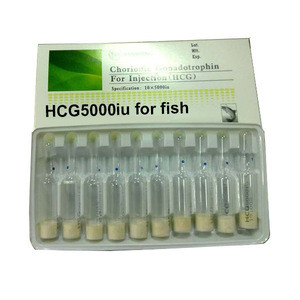 Buy Hcg 5000iu Injection Medicine from Hebei Norvka Biotech Co., Ltd ...