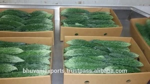 Buy Indian Karela Vegetable/fresh Bitter Gourd! from BHUVANI EXPORTS ...