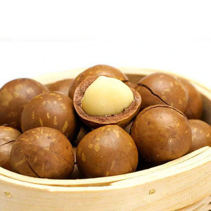 Buy Raw Organic Macadamia Nuts With Shell And Without Shell For Sale ...