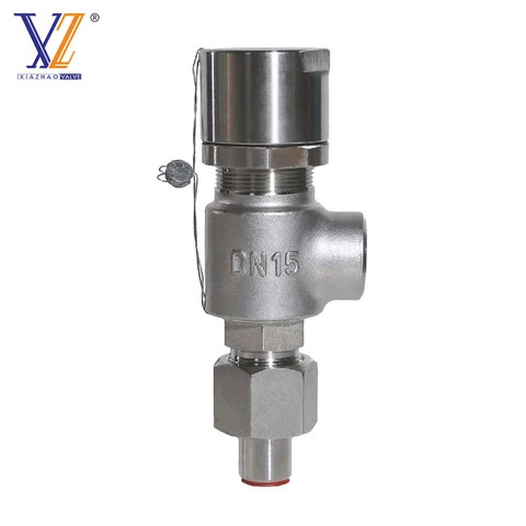 Buy Stainless Steel Safety Valvelng Liquid Pressure Relief Safety Valve ...