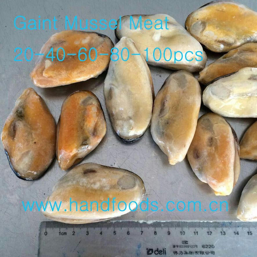 Buy Frozen Cooked Gaint Blue Mussel Meat from Hand Foods (Dalian) Co ...