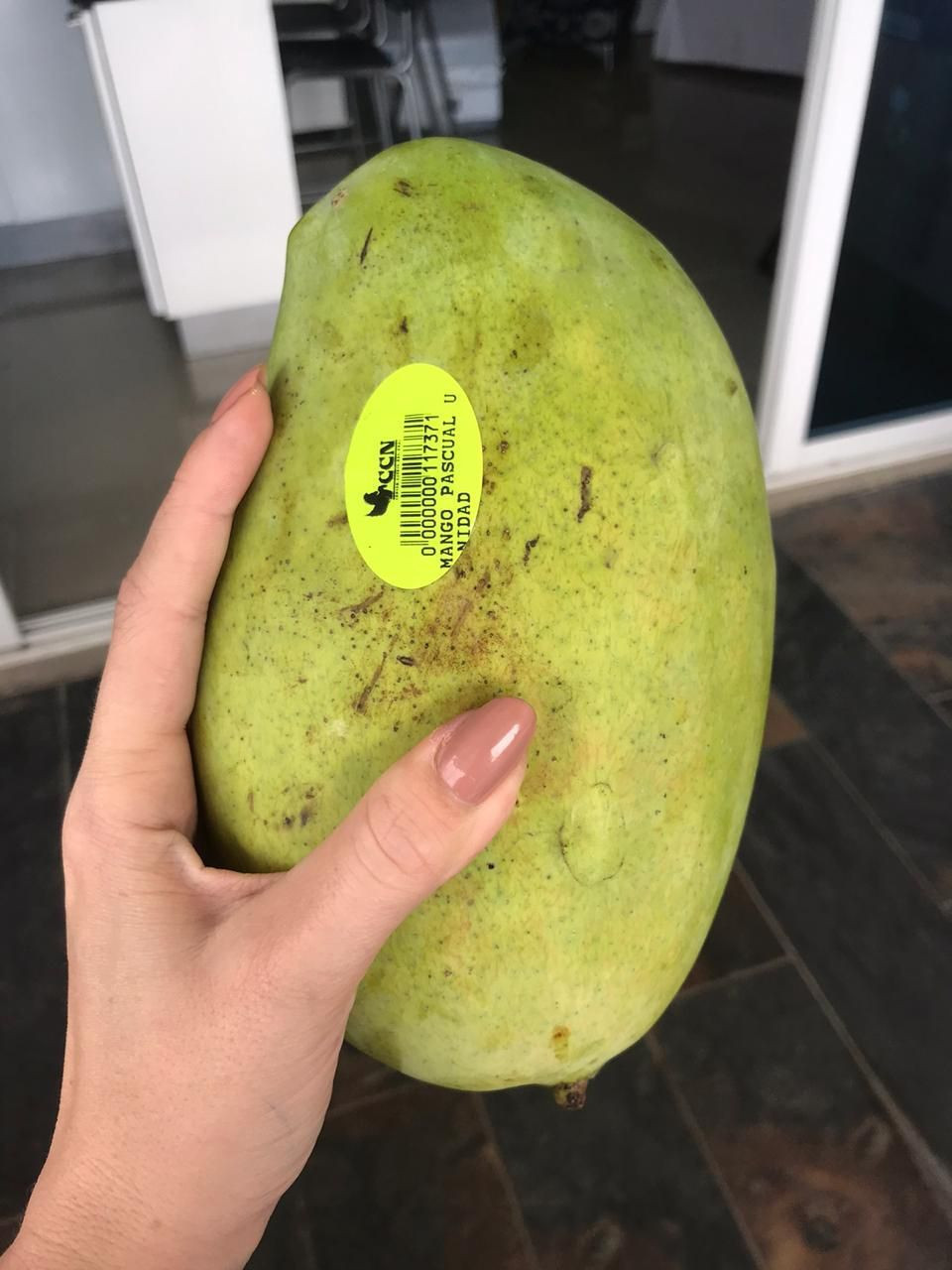 Buy Mangos: Keitt, Mingolo, Madame Francés, Tommy, Crema Do Oro, Gota ...