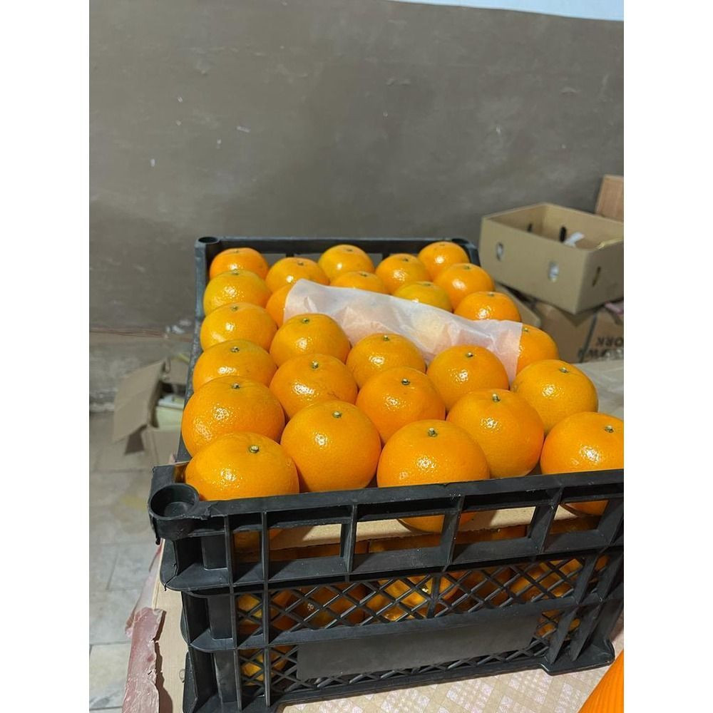Buy Mandarin Kinnow from Sharp Ages, Pakistan | Tradewheel.com