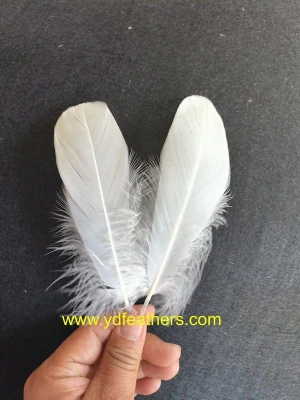 Buy Goose Feather from Yueda Feather Handicraft Factory, China ...