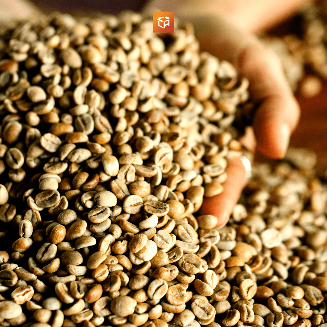 Buy Arabika Gayo Green Bean Coffee Central Aceh, Sumatera Origin from ...