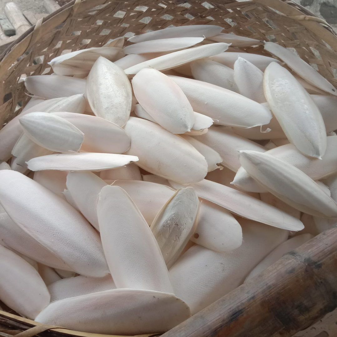 Buy Cuttlefish Bone For Birds In Bulk from Hang Xanh Company Limited ...