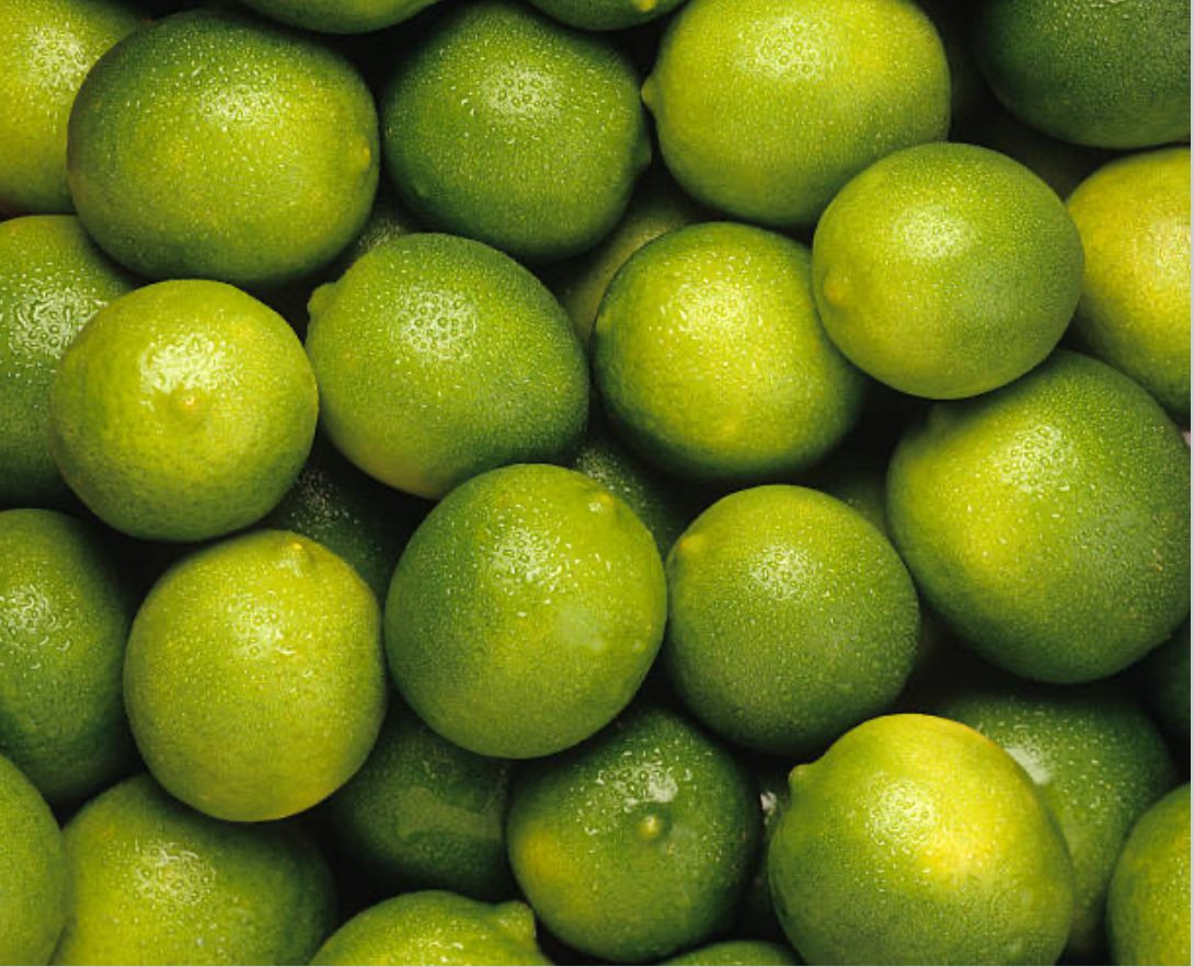 Buy Lemons from DNV Enterprises, India | Tradewheel.com