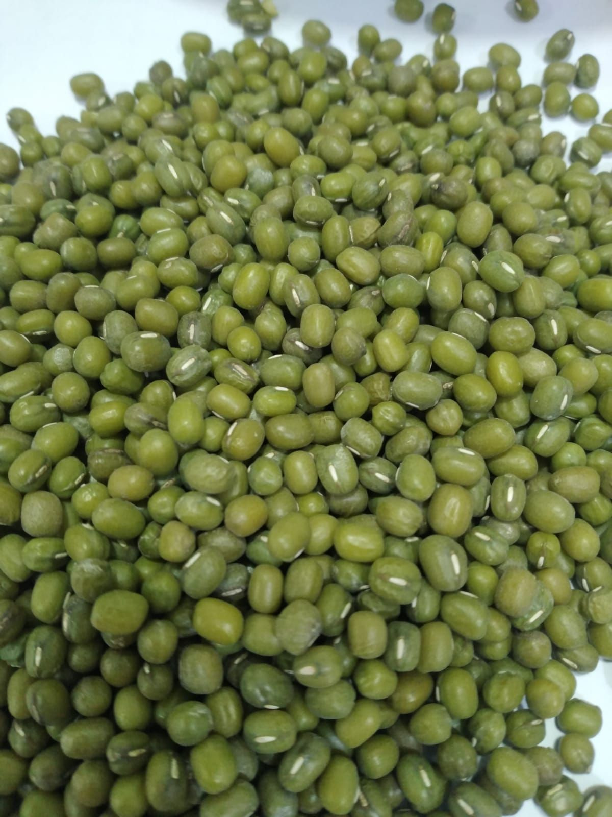 Buy Green Mung Beans from Natural Superfoods, Peru | Tradewheel.com