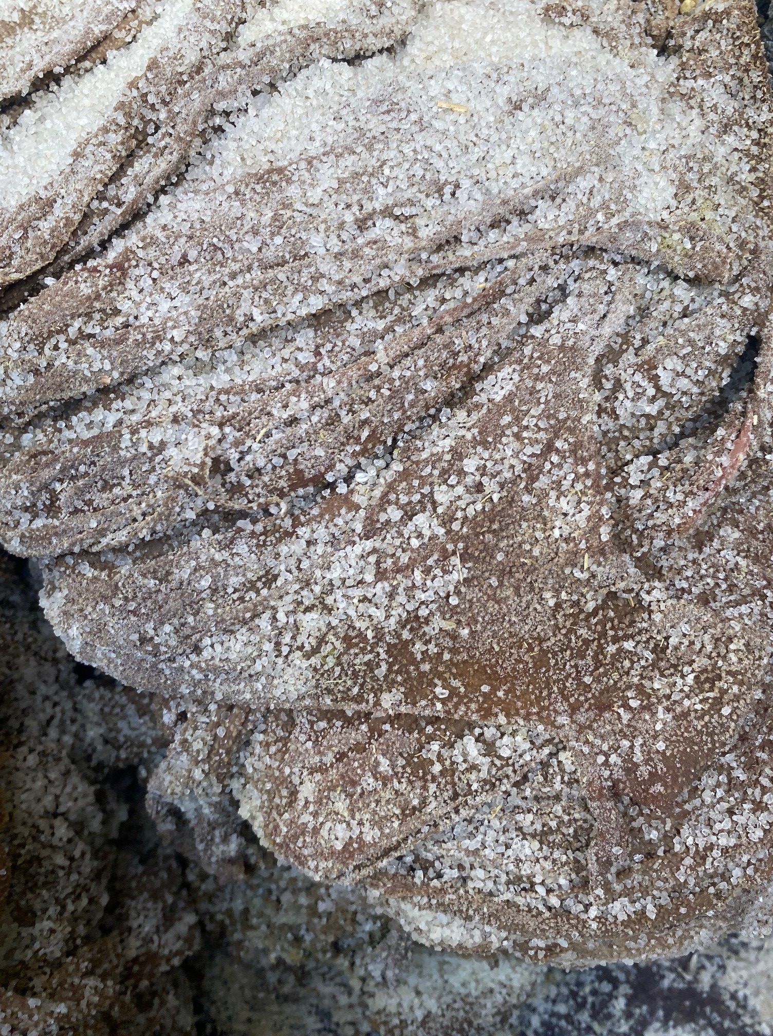 Buy Dried Salted Beef Omasum from Kertland KFT, Hungary | Tradewheel.com