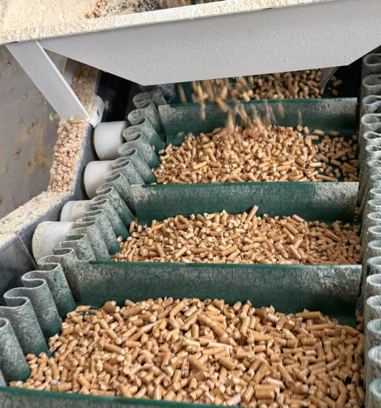 Buy Pine Wood Pellet from Mangrove Home Furnishing co.,ltd Thailand ...