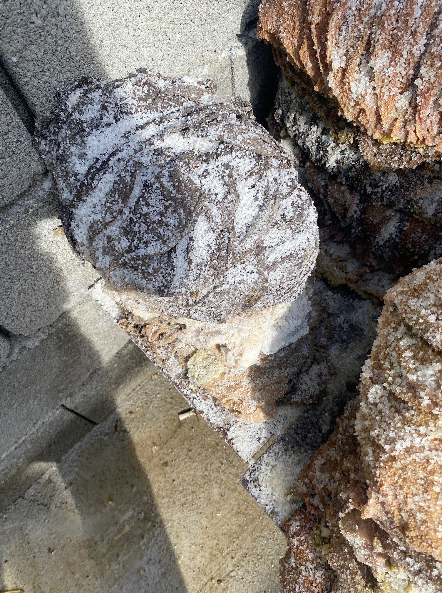 Buy Dried Salted Beef Omasum from Kertland KFT, Hungary | Tradewheel.com