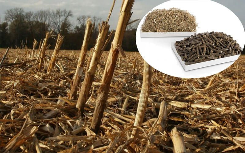 Buy Biomass Pellets from Urja Biofuels Pvt Ltd., India | Tradewheel.com
