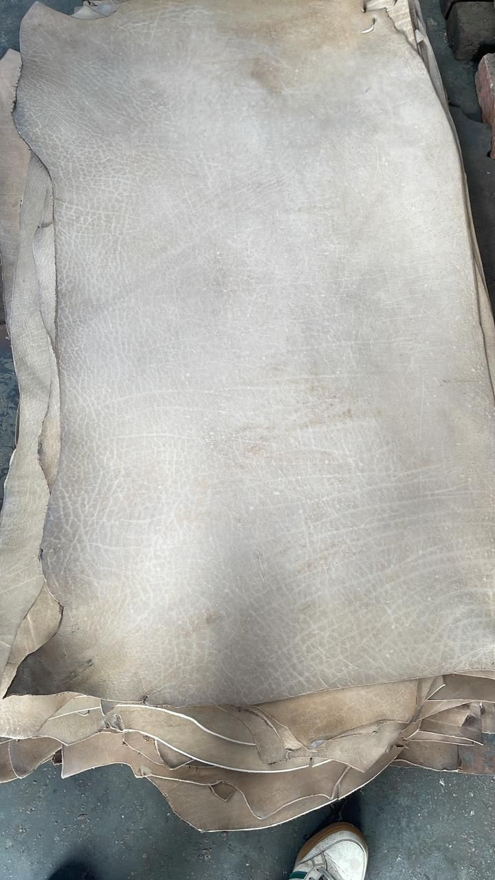 Buy Leather Crust And Belts from U.M.INTERNATIONAL, India | Tradewheel.com