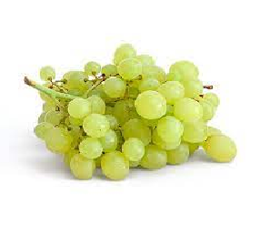Buy Table Grapes from Agrotica, Lebanon | Tradewheel.com