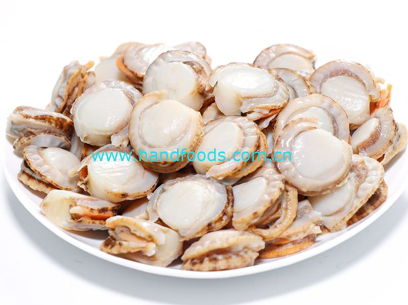 Buy Frozen Cooked Sea Scallop Meat from Hand Foods (Dalian) Co., Ltd ...