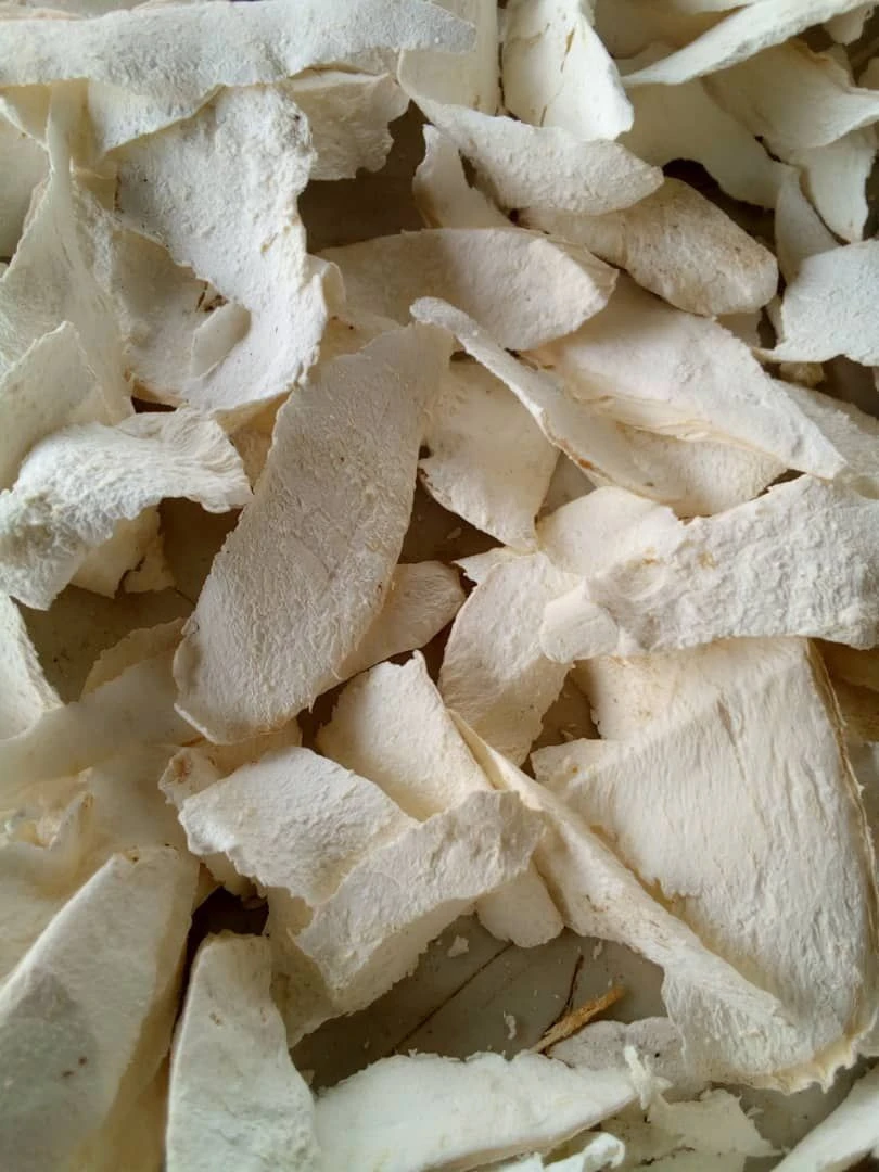 Buy Premium Quality White Dried Cassava Chips from Hedmee Agro-Products ...
